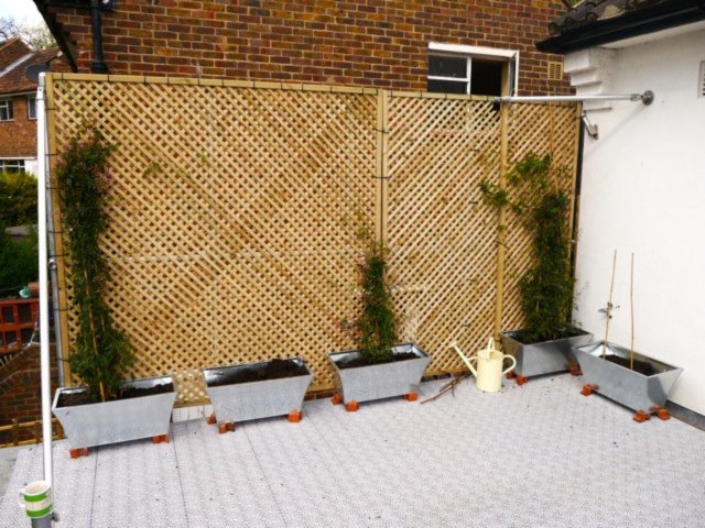 DIY trellis screen for a flat roof - Projects - Simplified Building